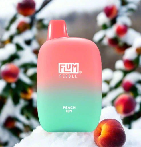 Peach Icy Flum Pebble 6000 | Flum Pebble | DISPOSABLE | SSV