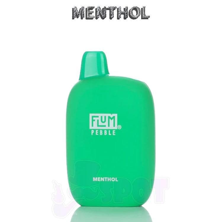 Menthol Flum Pebble 6000 | Flum Pebble | DISPOSABLE | SSV